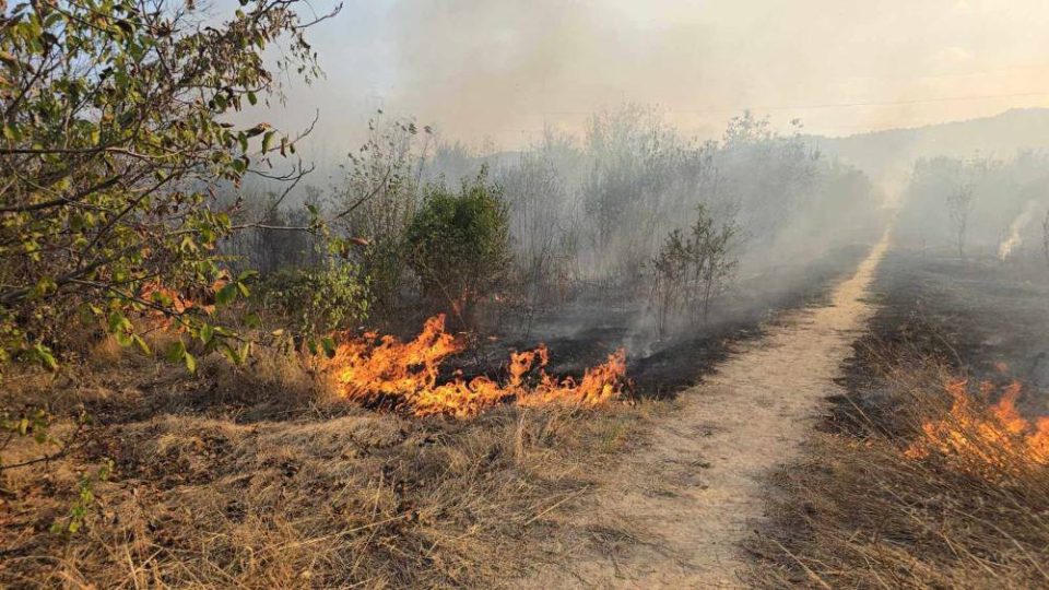 Кривична пријава за 14 годишник за пожарот во Расадник Трилинг